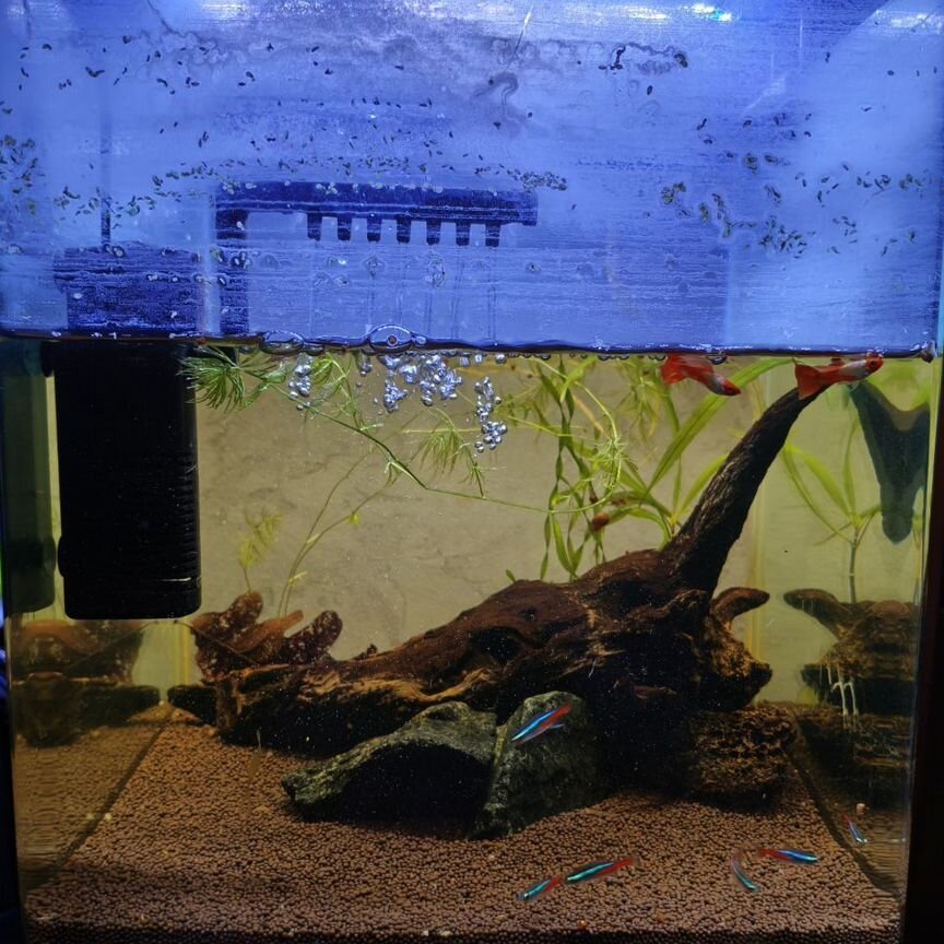 Аквариум куб 30л prime