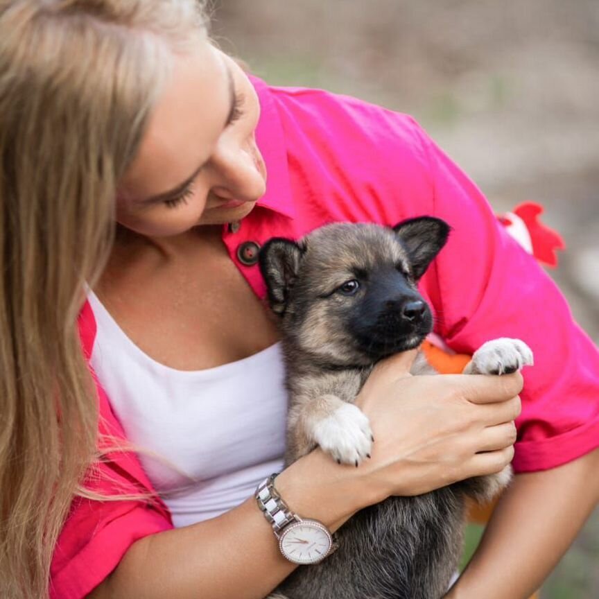 Непоседа Рона в дар