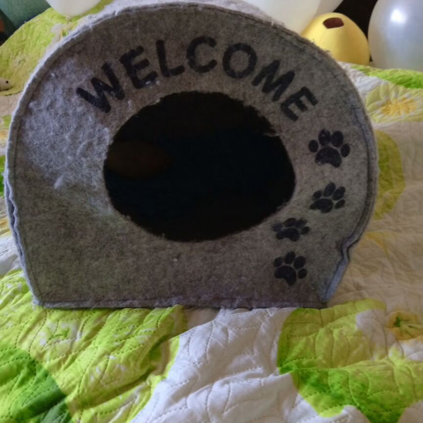 Кошкин домик