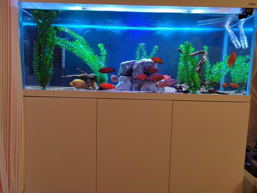 Аквариум с тумбой белый aquael opti set 240