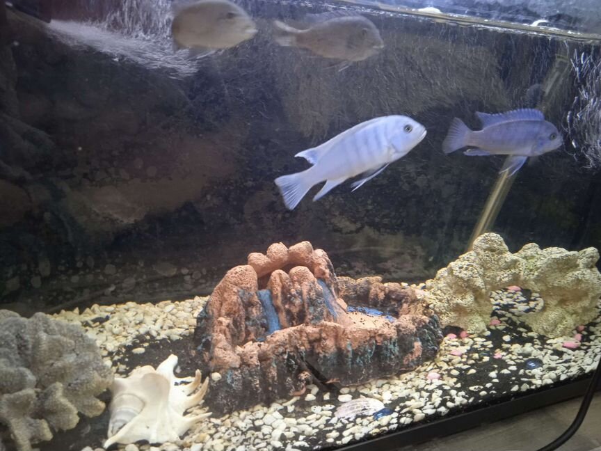 Фильтр для аквариума