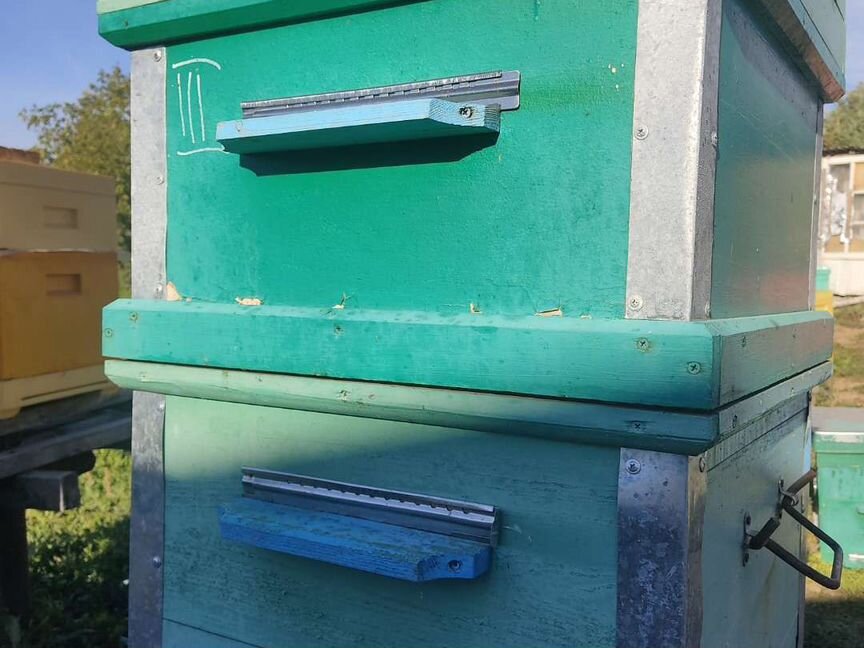 Улей дадан 10 и 12 рамочные