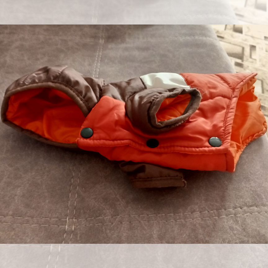 Одежда для маленьких собак