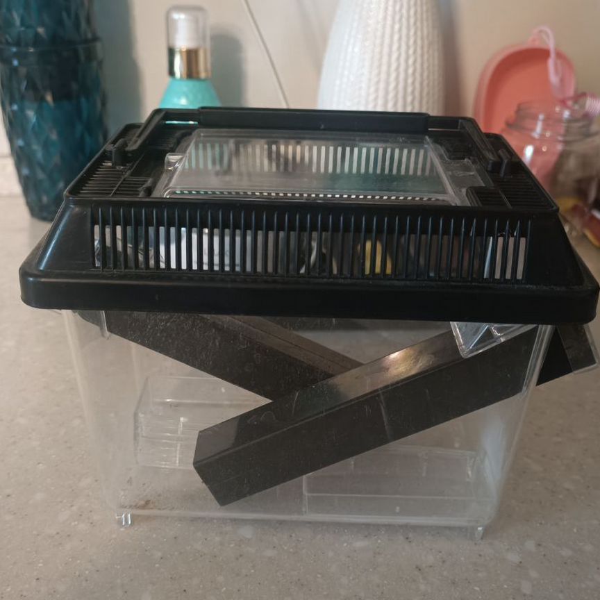 Экзотерра Контейнер для живого корма, маленький