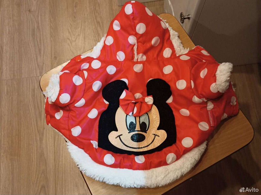 Одежда для собак