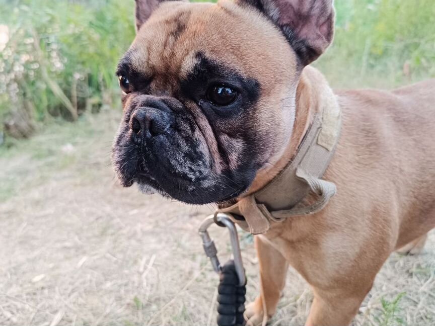 Ищу новый дом