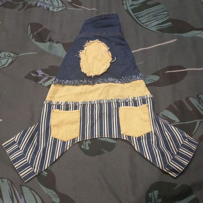 Одежда для маленьких собак