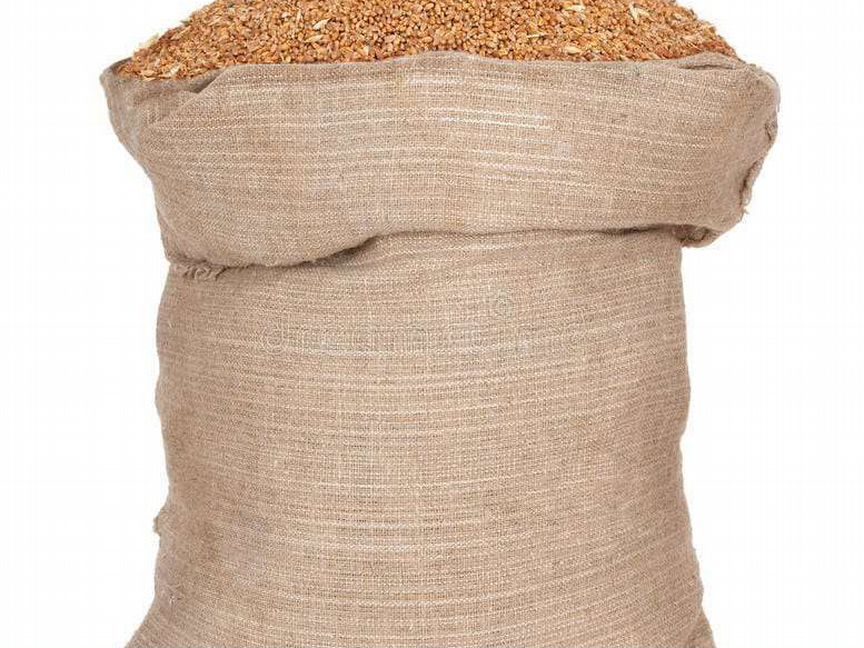 Пшеница, горох