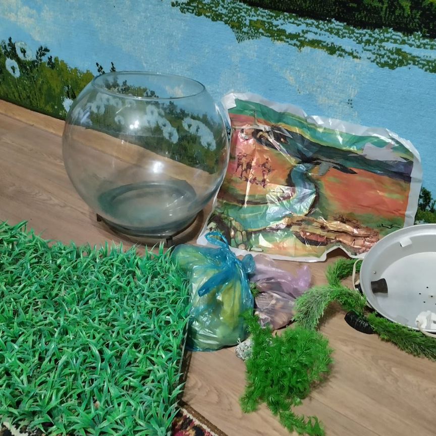 Отдам аквариум с подсветкой грунт водорослями