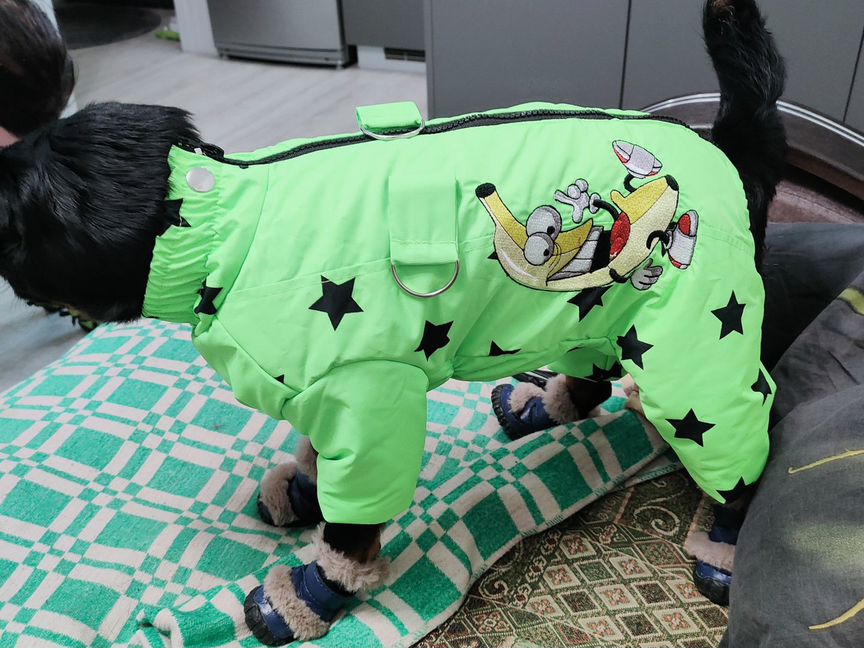 Комбинезон для маленькой собаки мальчик