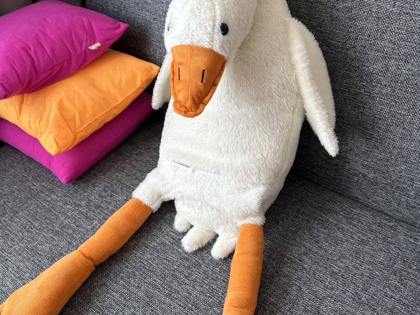 Гусь обнимусь 1