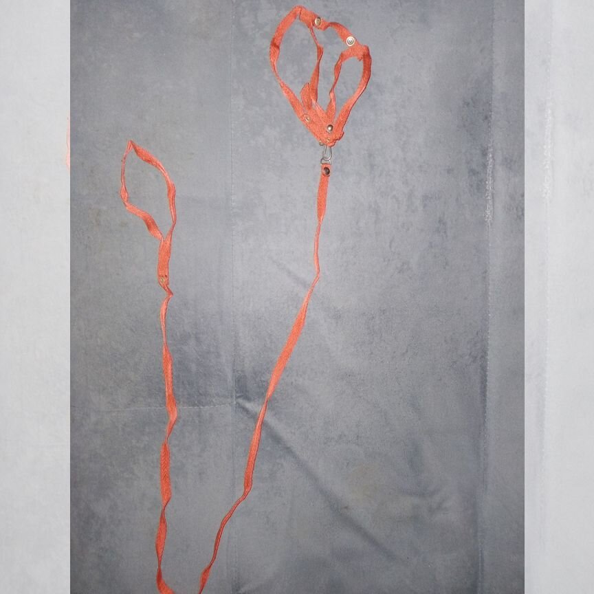 Поводок для кошек