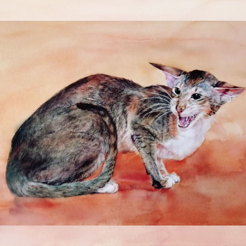Кошка