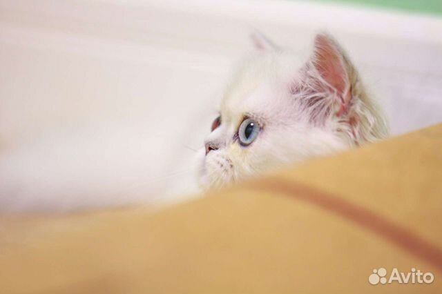 Зеленоглазый блондин желает познакомиться