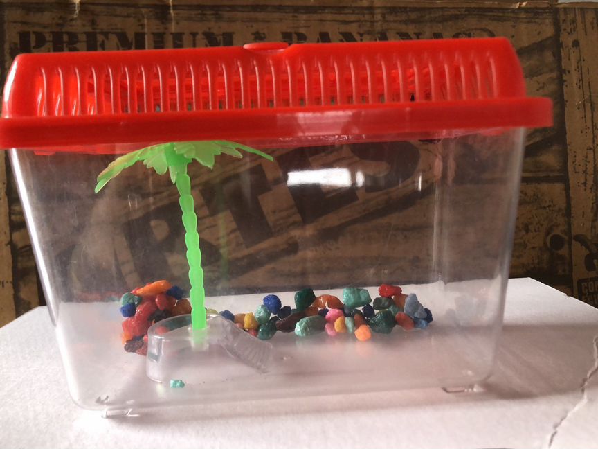 Аквариум переноска