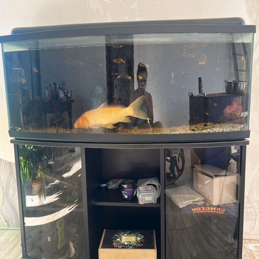 Аквариум с тумбой 270л