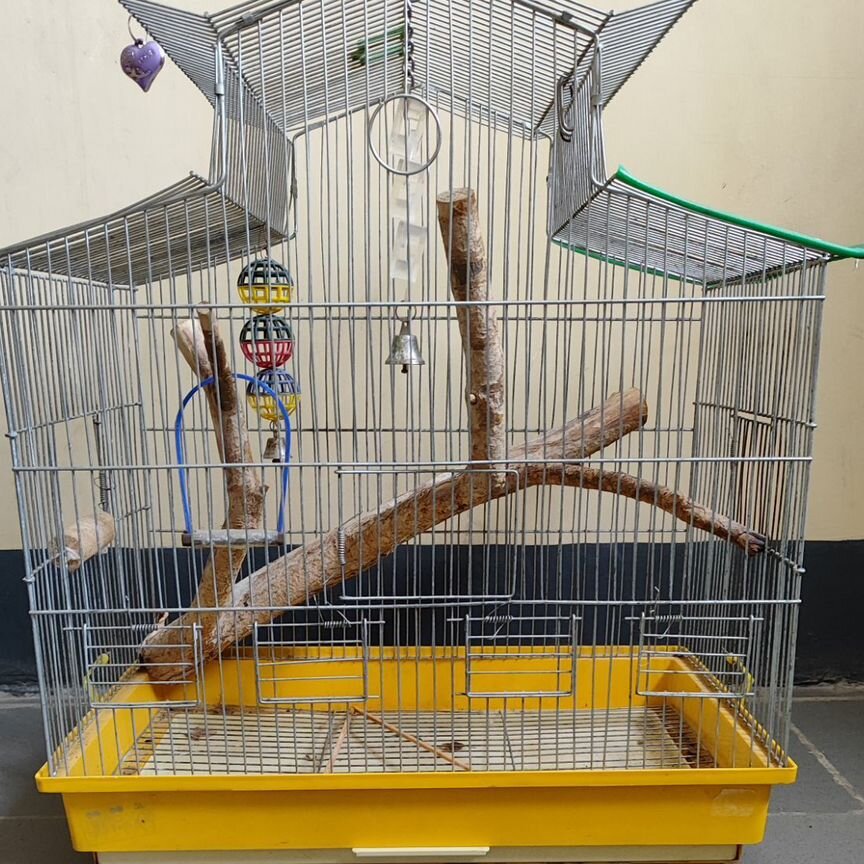 Клетка большая