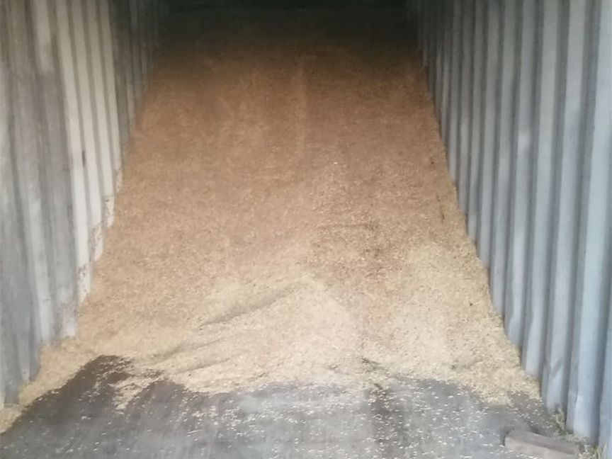 Ячмень, овес