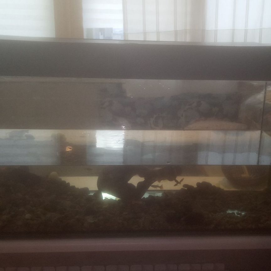 Аквариум 160 литров, б/у