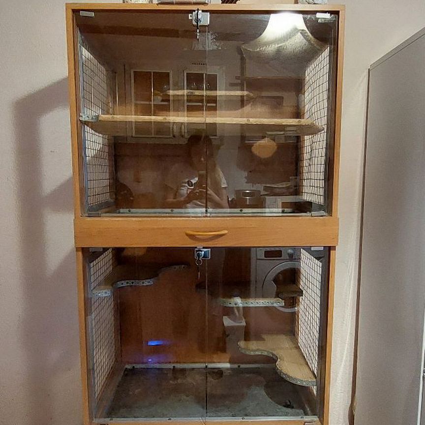 Витрина для шиншиллы