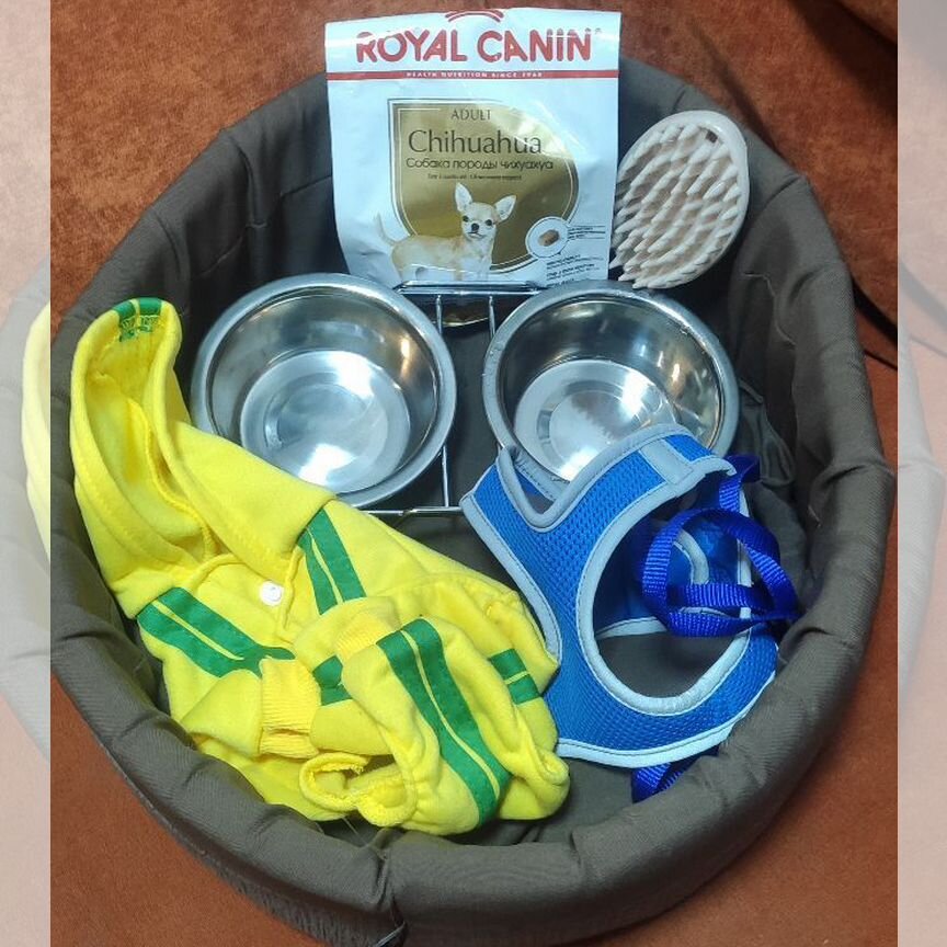 Для собак мелких пород