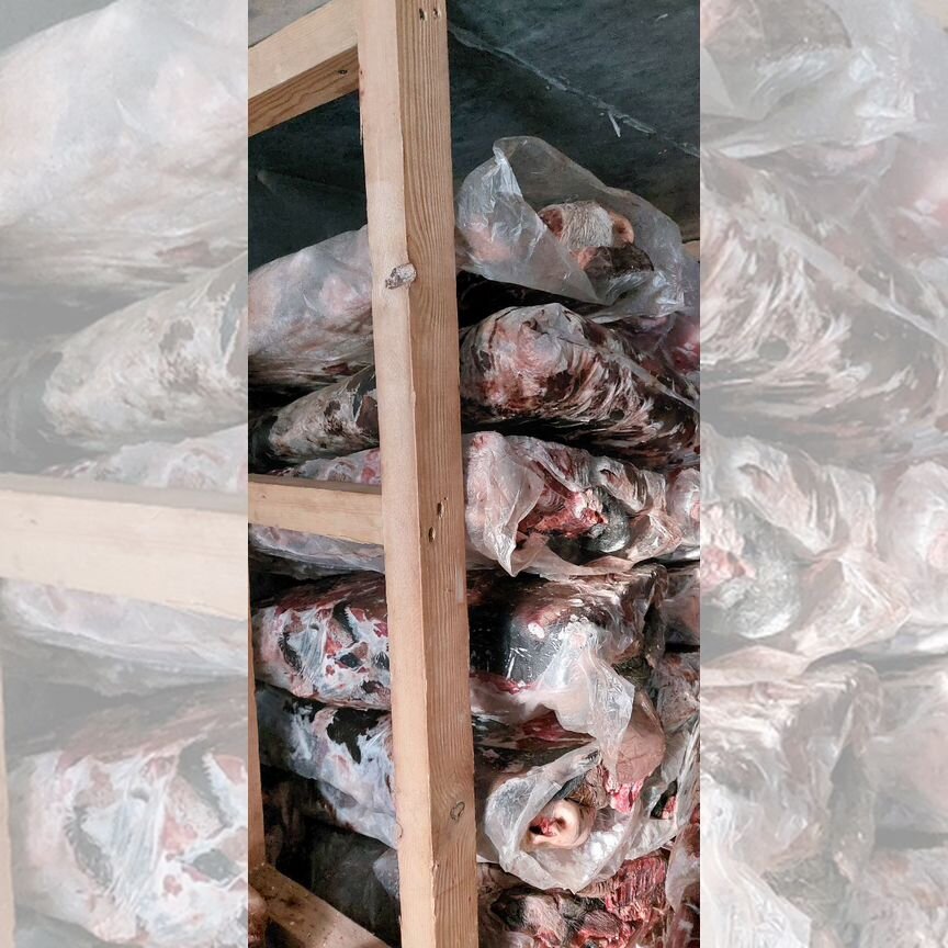 Носы говяжьи