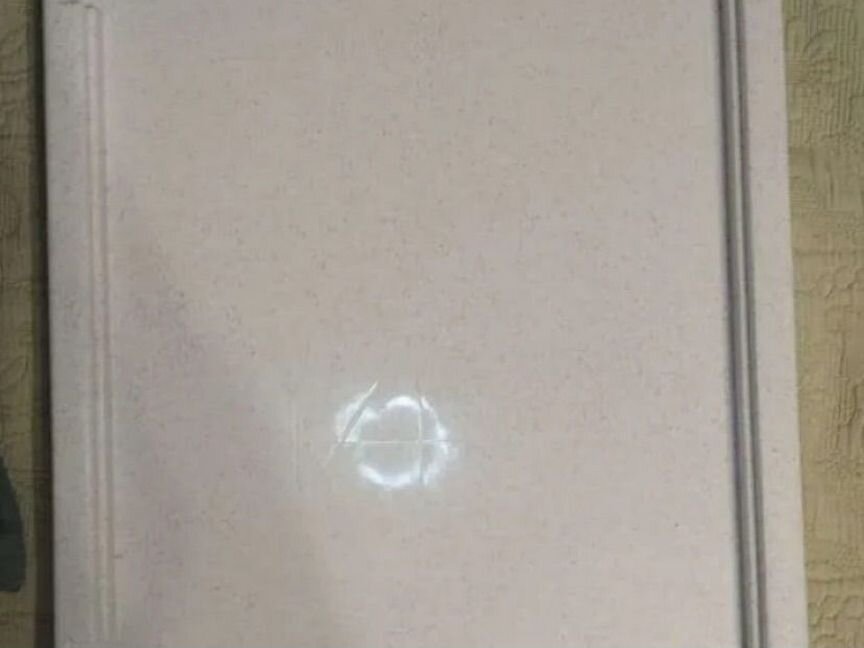 Лоток для собак большой