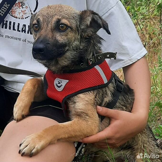 Малыш Фунтик