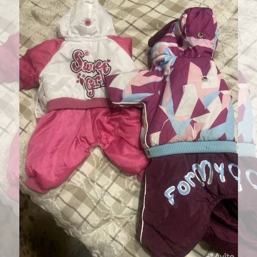 Вещи на собаку