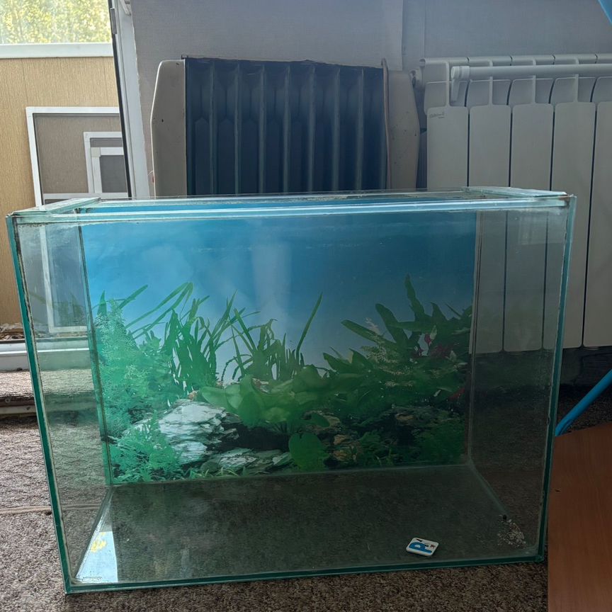 Аквариум