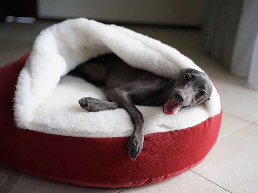 Пуфики-норки