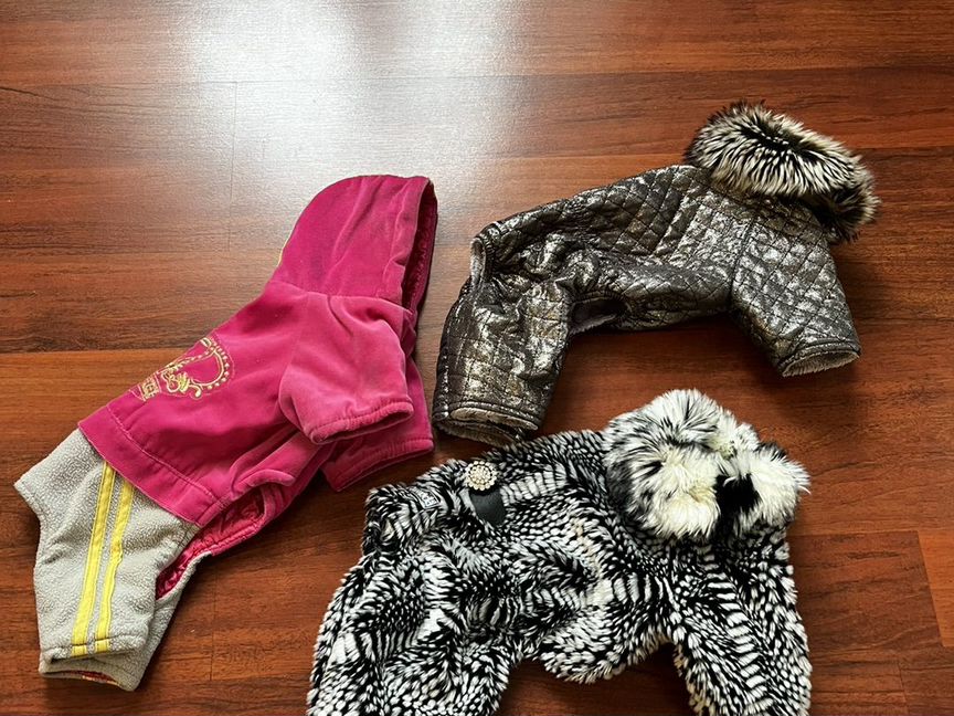 Одежда для маленьких пород собак