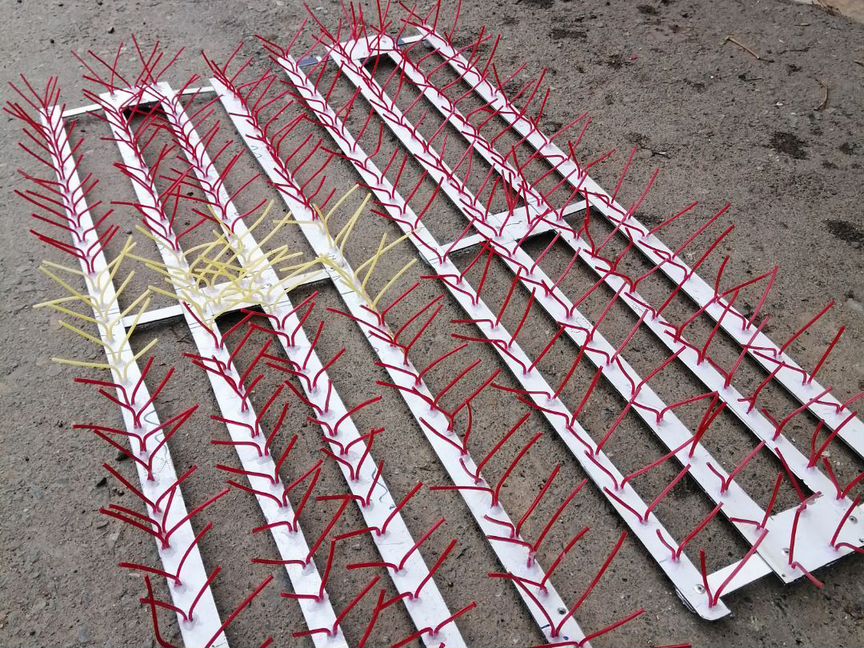 Шипы от птиц