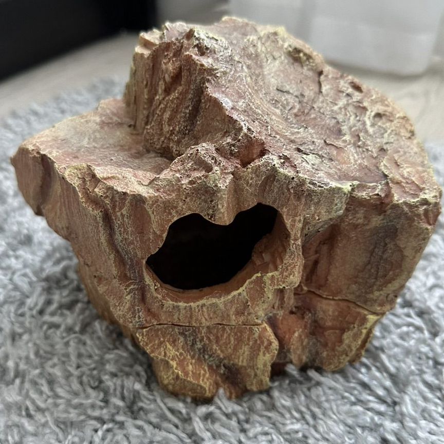 Влажная камера для рептилий