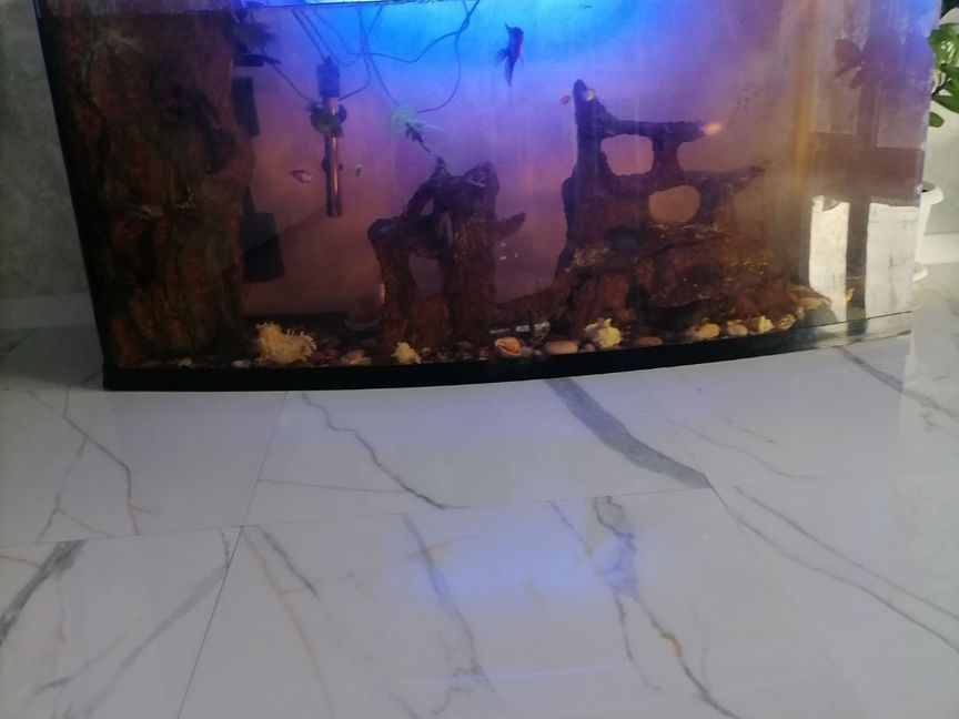 Аквариумные рыбки