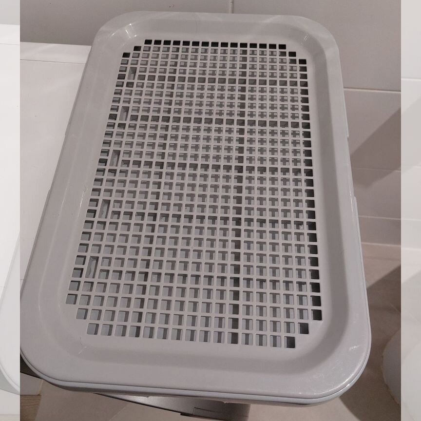 Лоток для собак