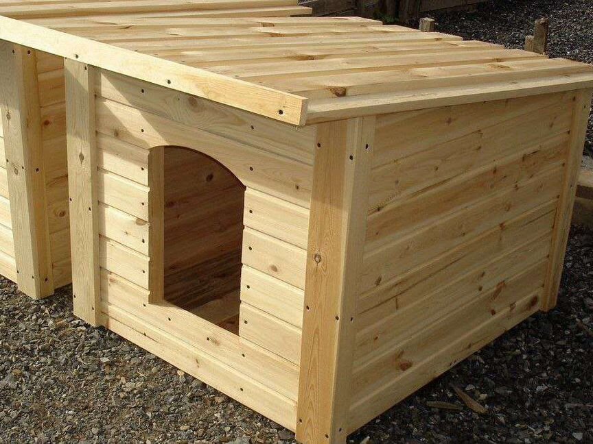 Собачья будка