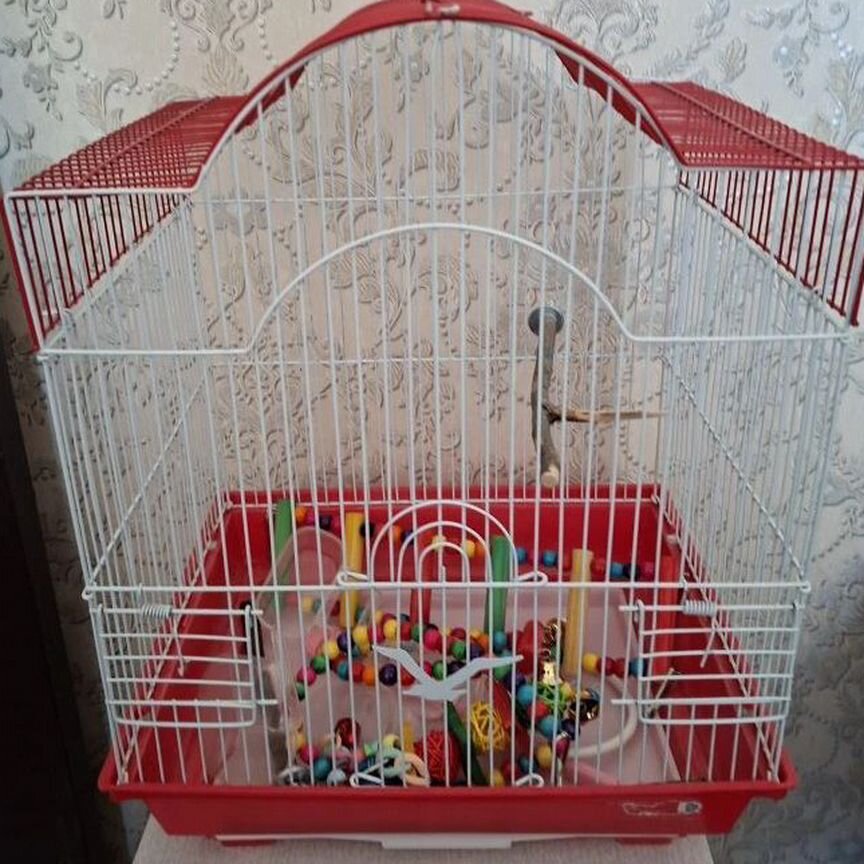 Клетка для попугая
