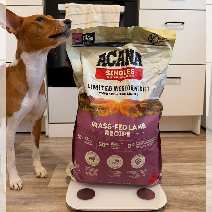 Acana корм для собак