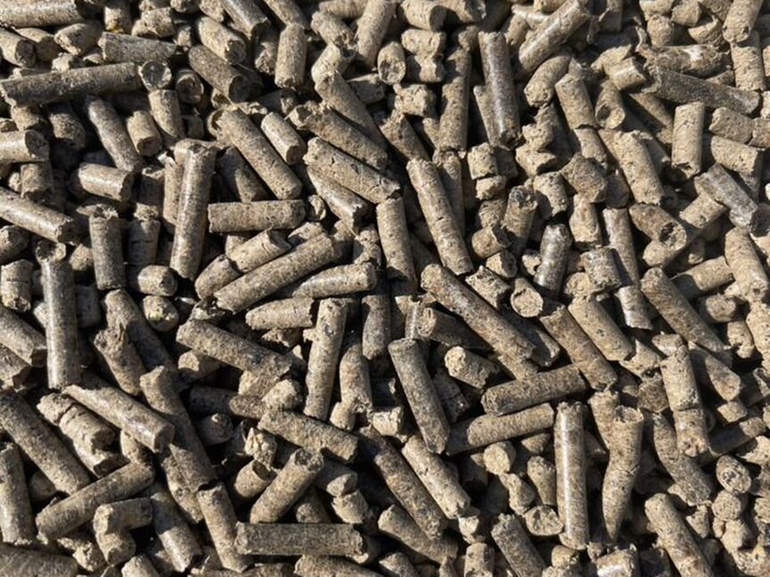 Гранулы ячменя, пшеницы, кукурузы