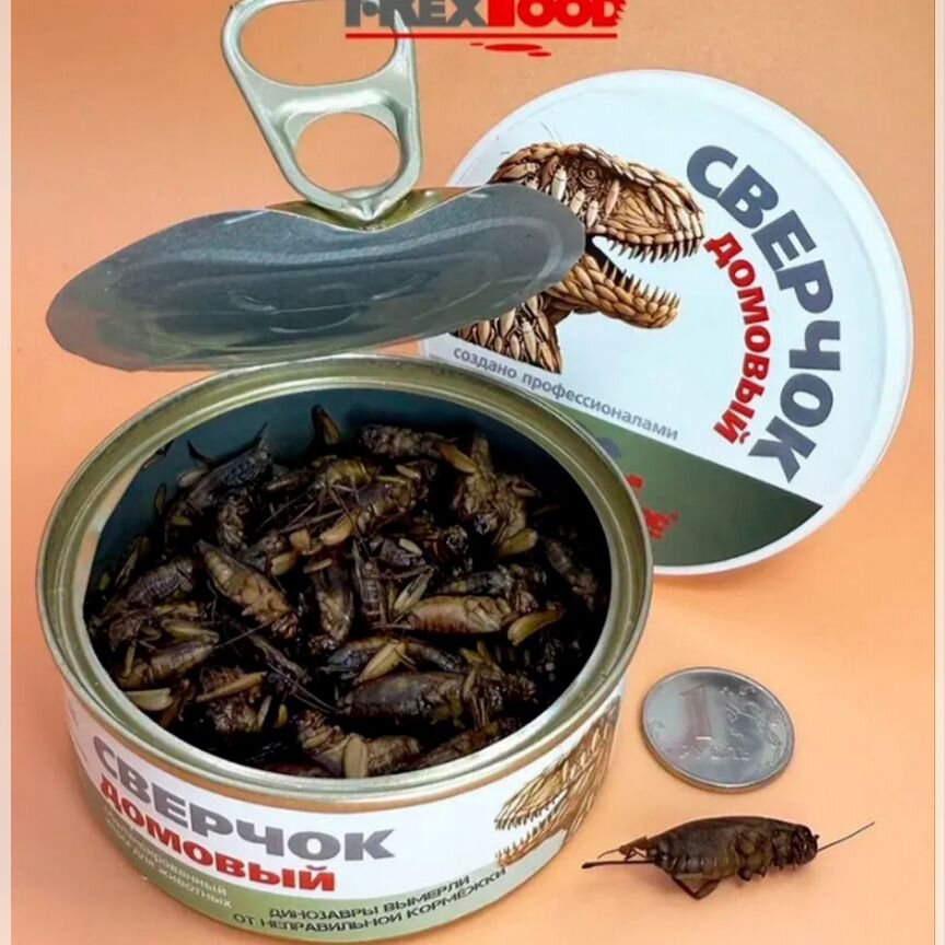 Сверчок консервированный