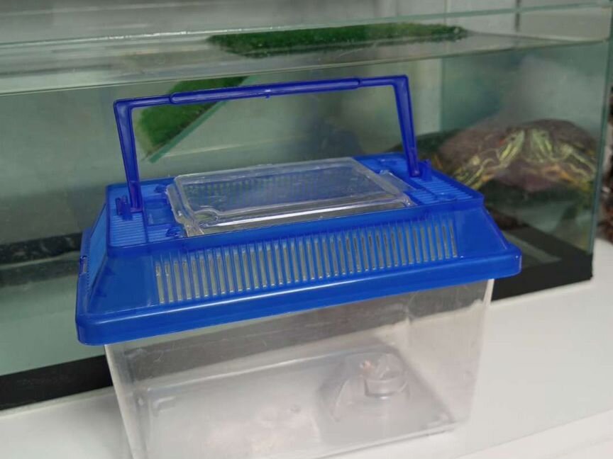 Террариум/переноска для маленьких черепашек