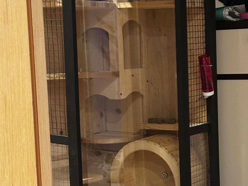 Витрина для шиншилл