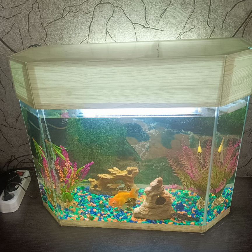 Аквариум с рыбками