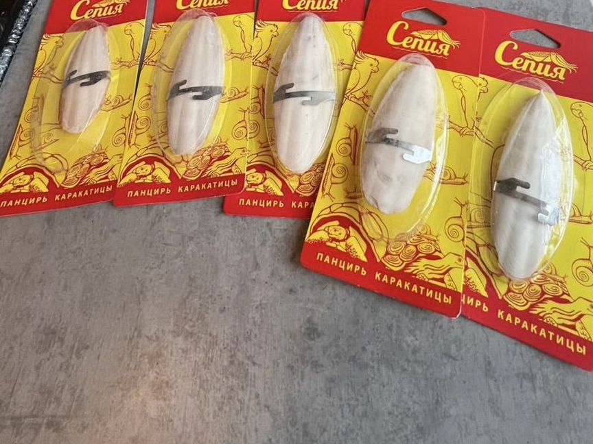 Сепия панцирь каракатицы