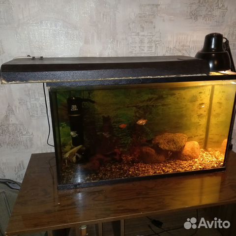 Аквариум 100 л с рыбками, фильтром, камнями и др