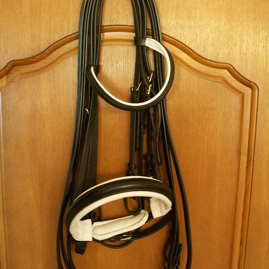 Оголовье для лошади