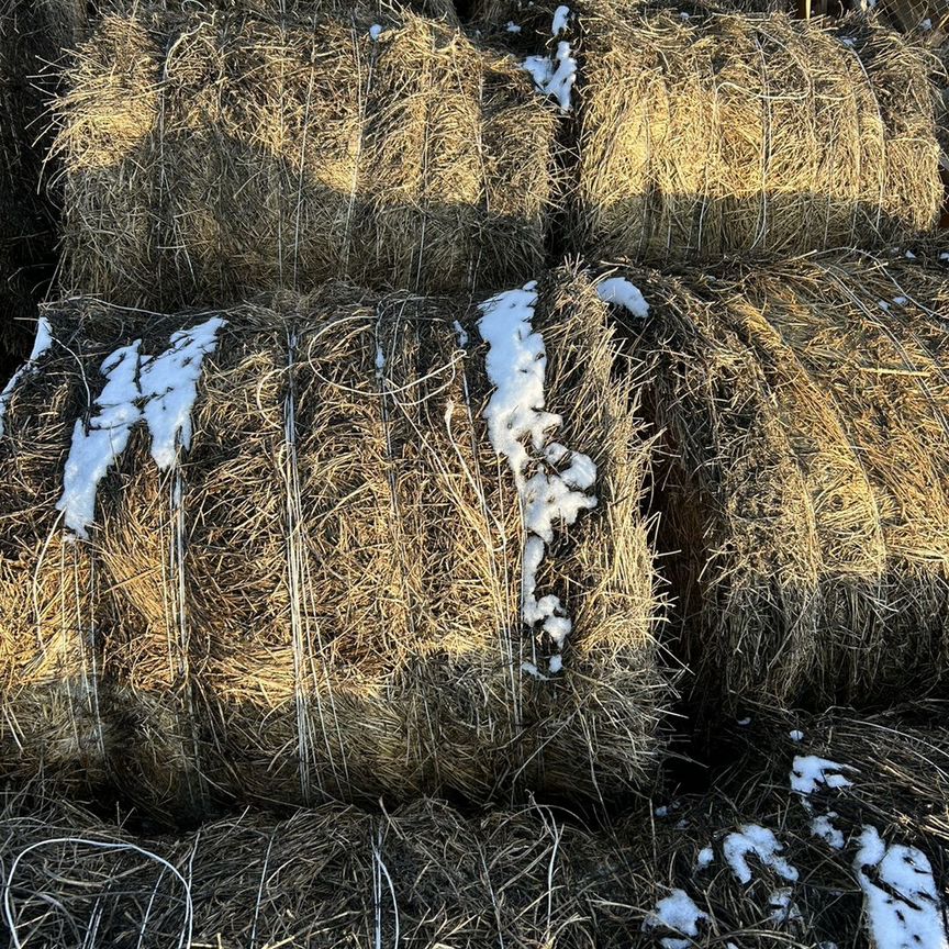 Люцерна в рулонах