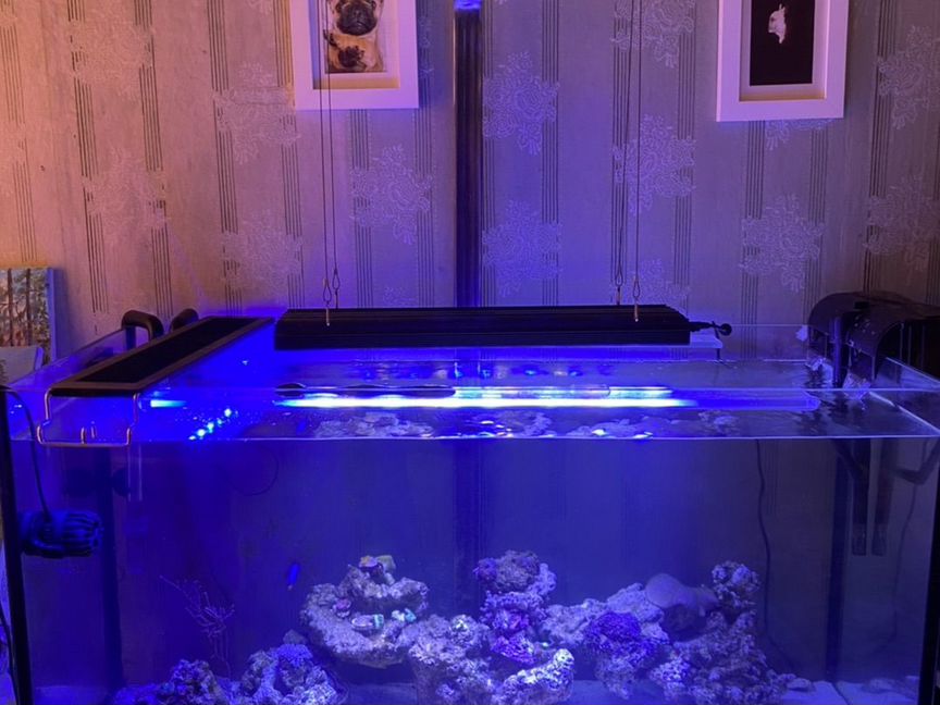 Морской аквариум 200л
