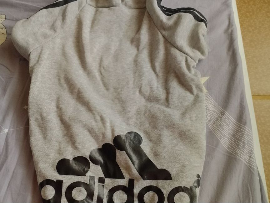 Одежда для собак, худи 5ххl